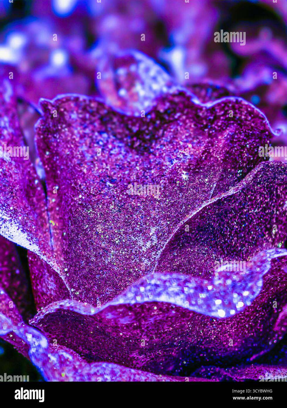 Mystical Purple Glitter Rose Macro: Sparkling Violet Petals for Fantasy ...