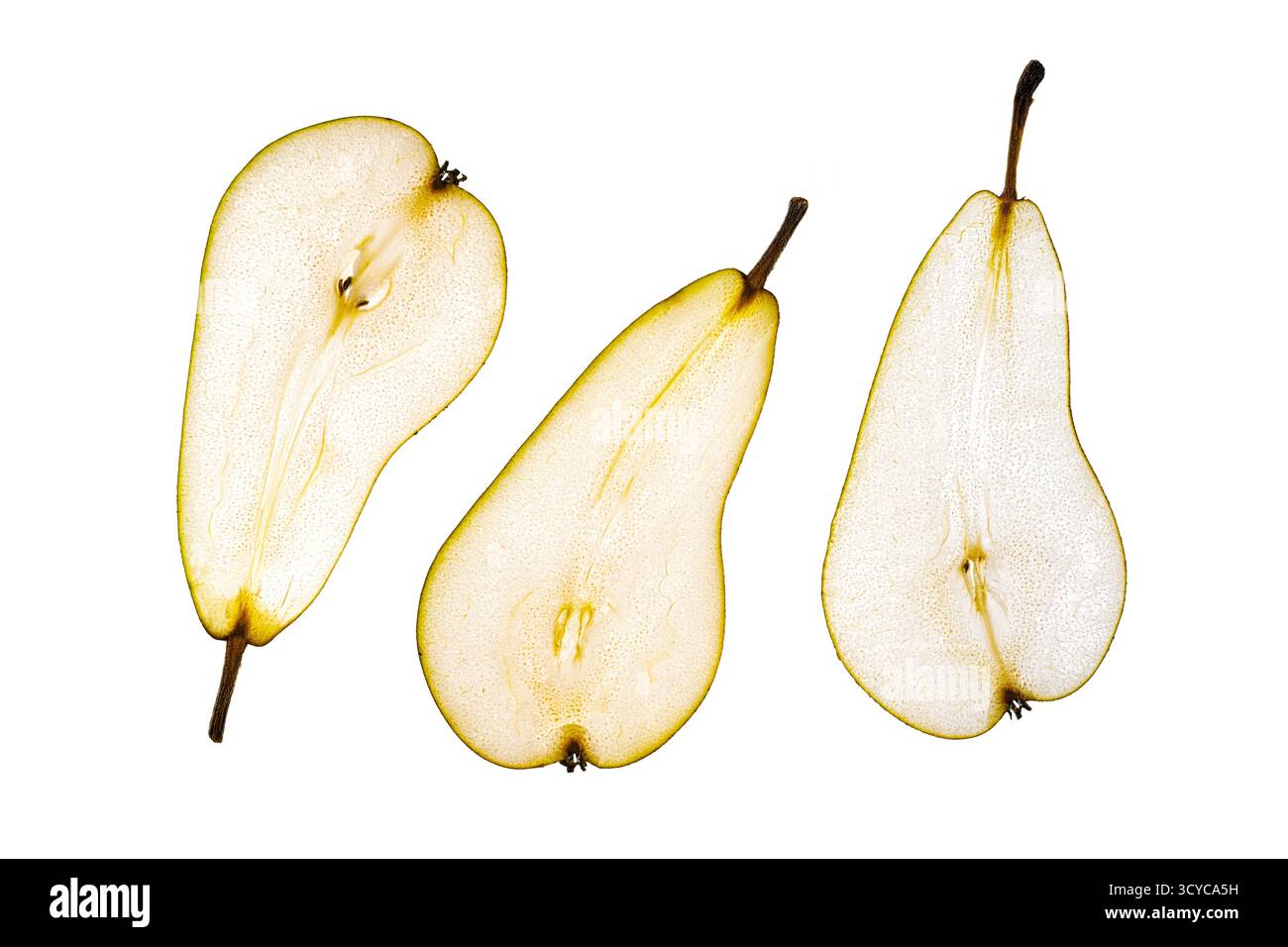 Core anatomie Cut Out Stock Images & Pictures - Alamy