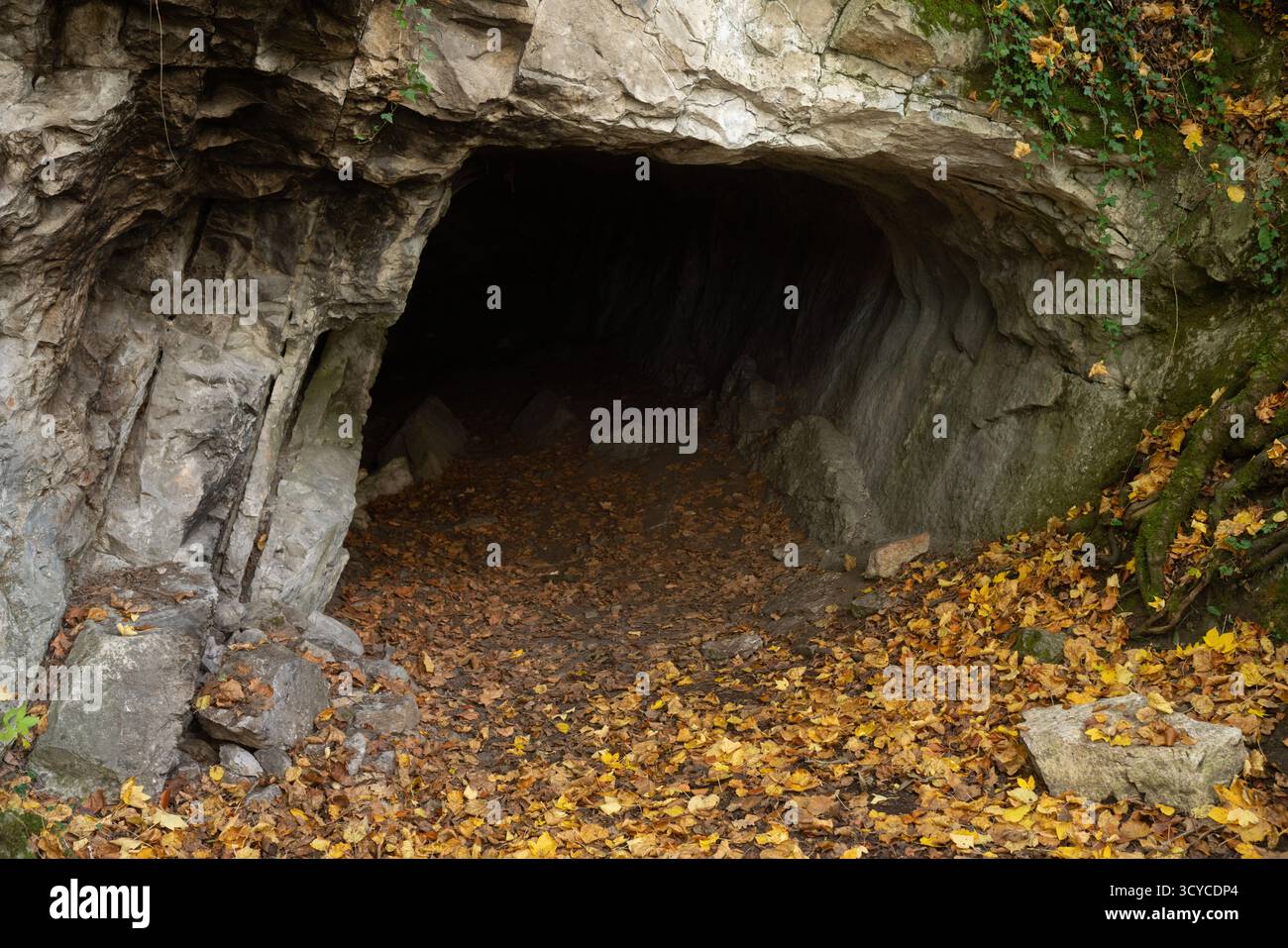 Entrance to Kodská jeskyně (Koda cave) in Czech karst, an ...