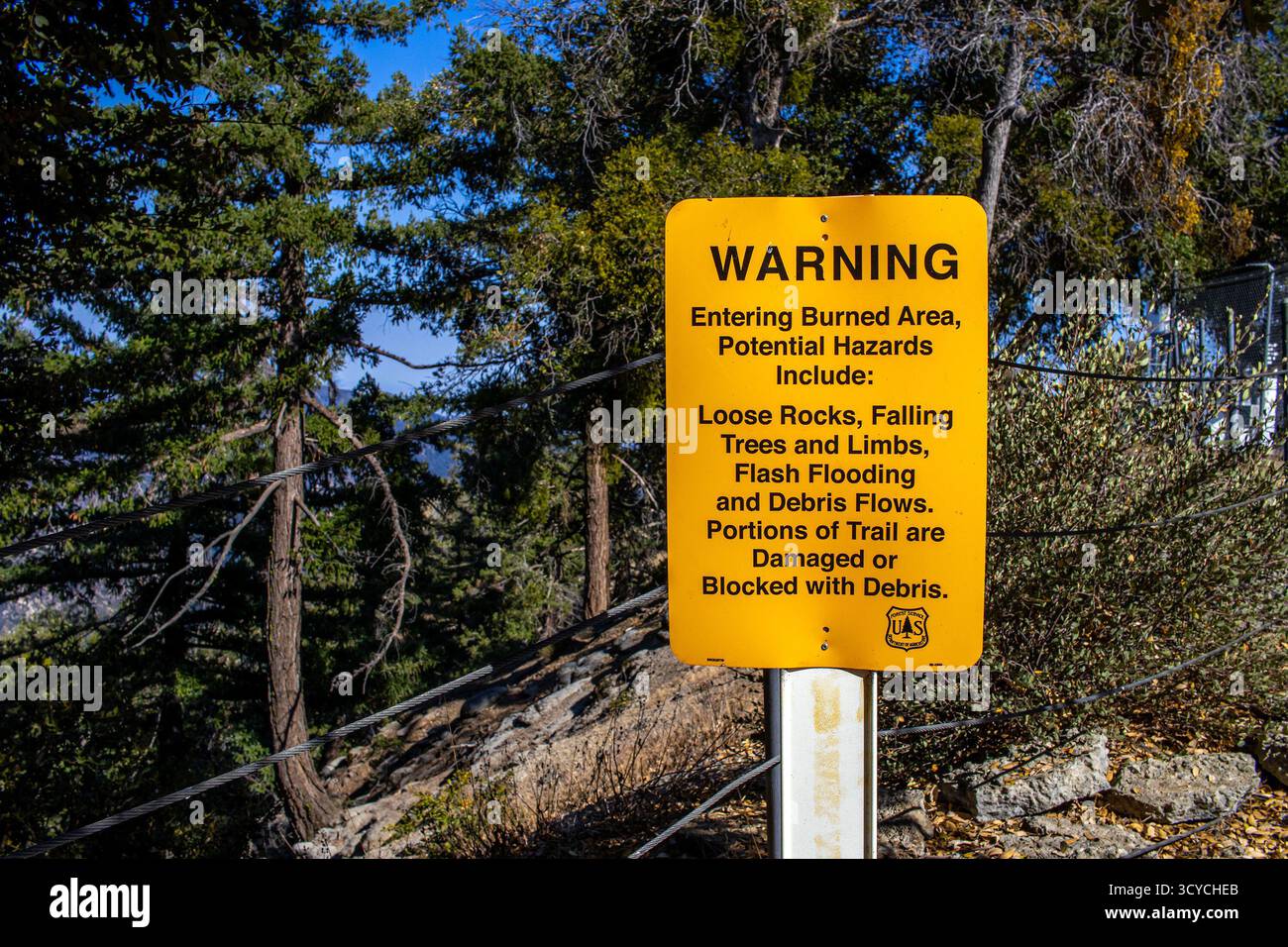 Loose limbs hi-res stock photography and images - Alamy