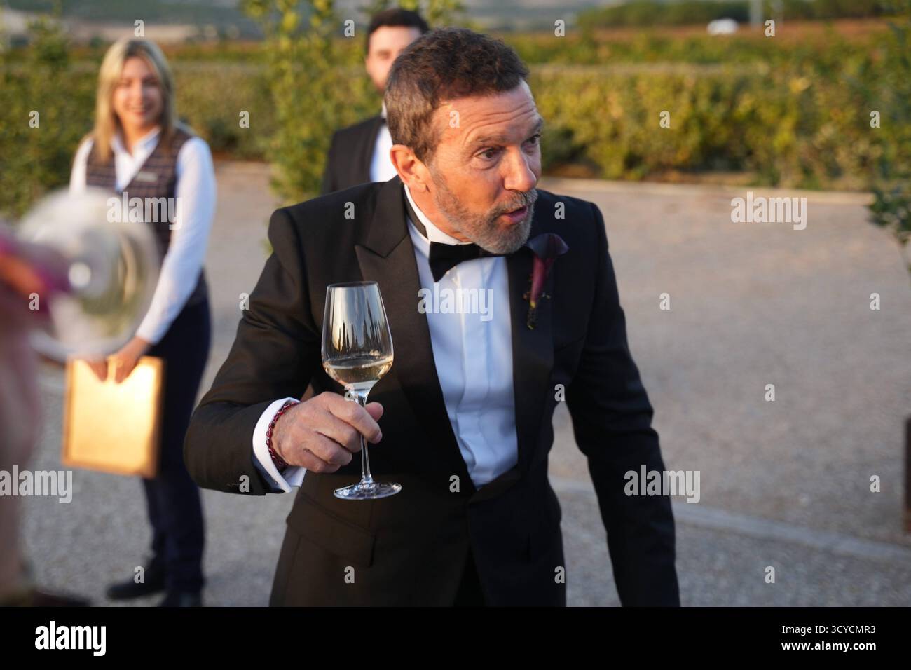Valladolid, Spain. 08th Oct, 2025. Antonio Banderas during wedding of ...
