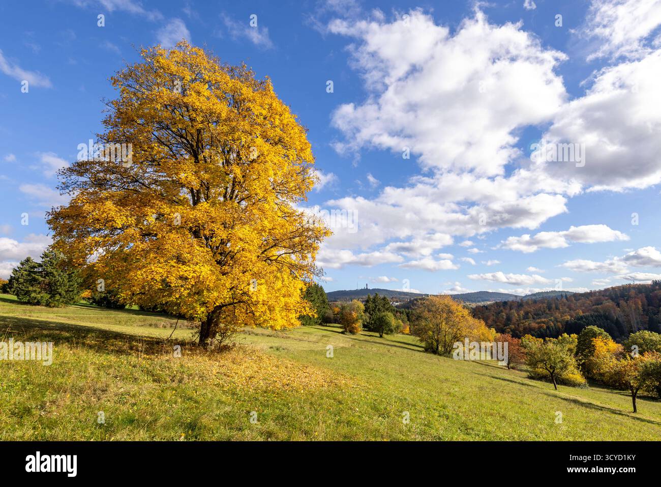 Herbst im Taunus Die Sonne scheint bei blauem Himmel und einigen Wolken ...