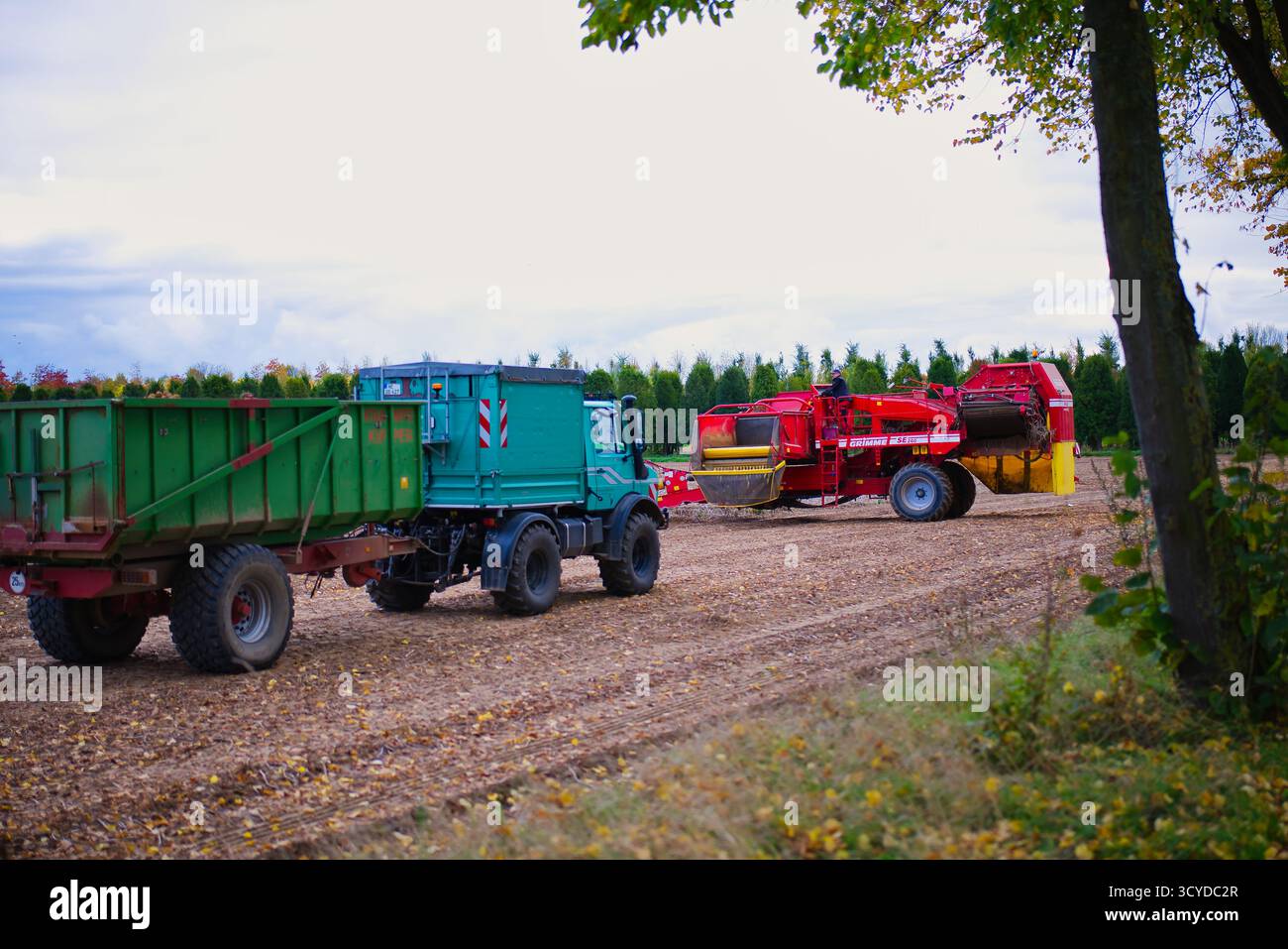 Agricultural truck and potato harvester working in autumn field, modern ...
