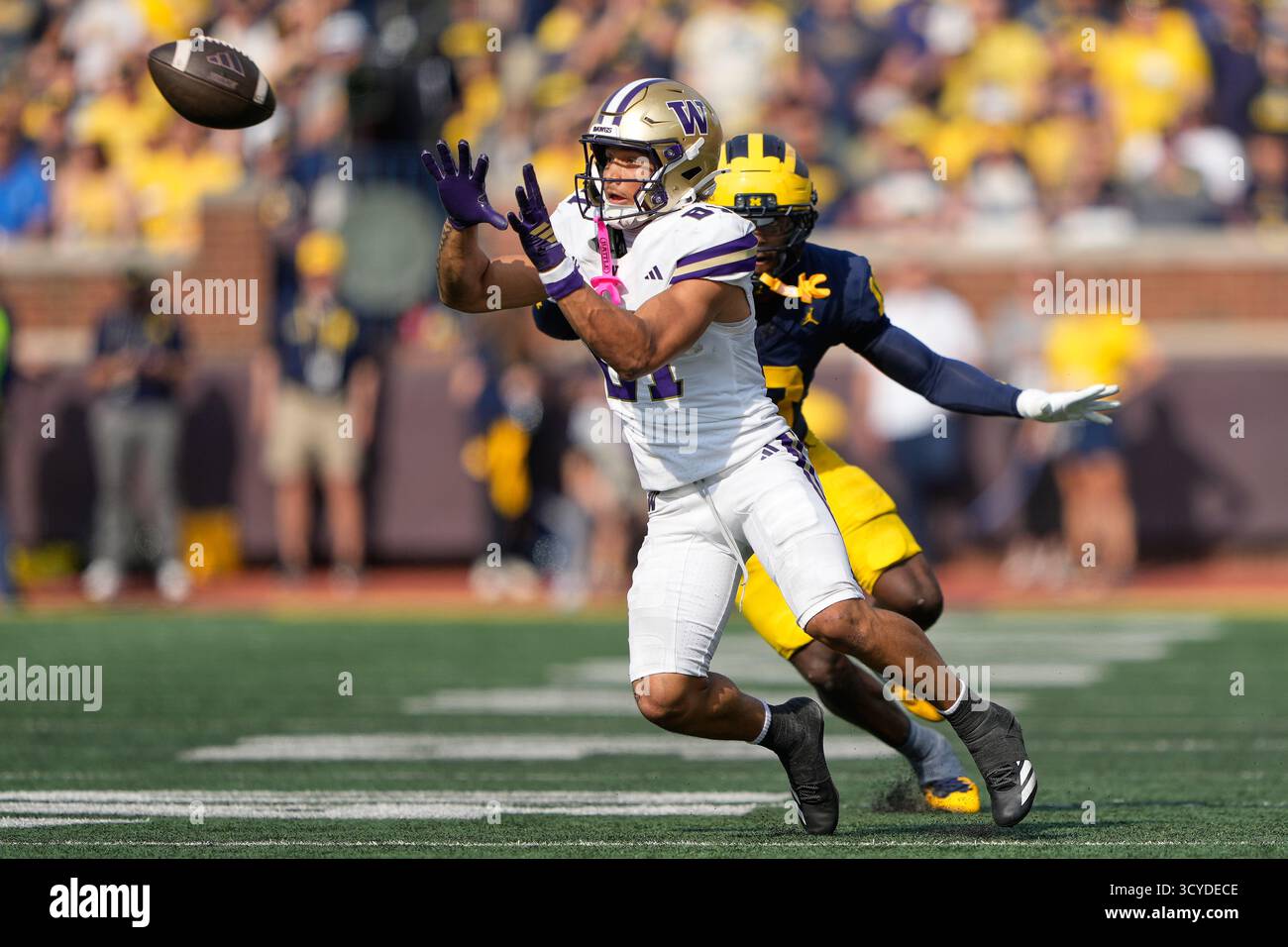 Washington wide receiver Dezmen Roebuck, left, catches a pass against ...