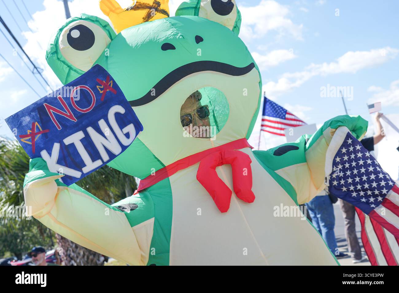 American flag no kings hi-res stock photography and images - Alamy