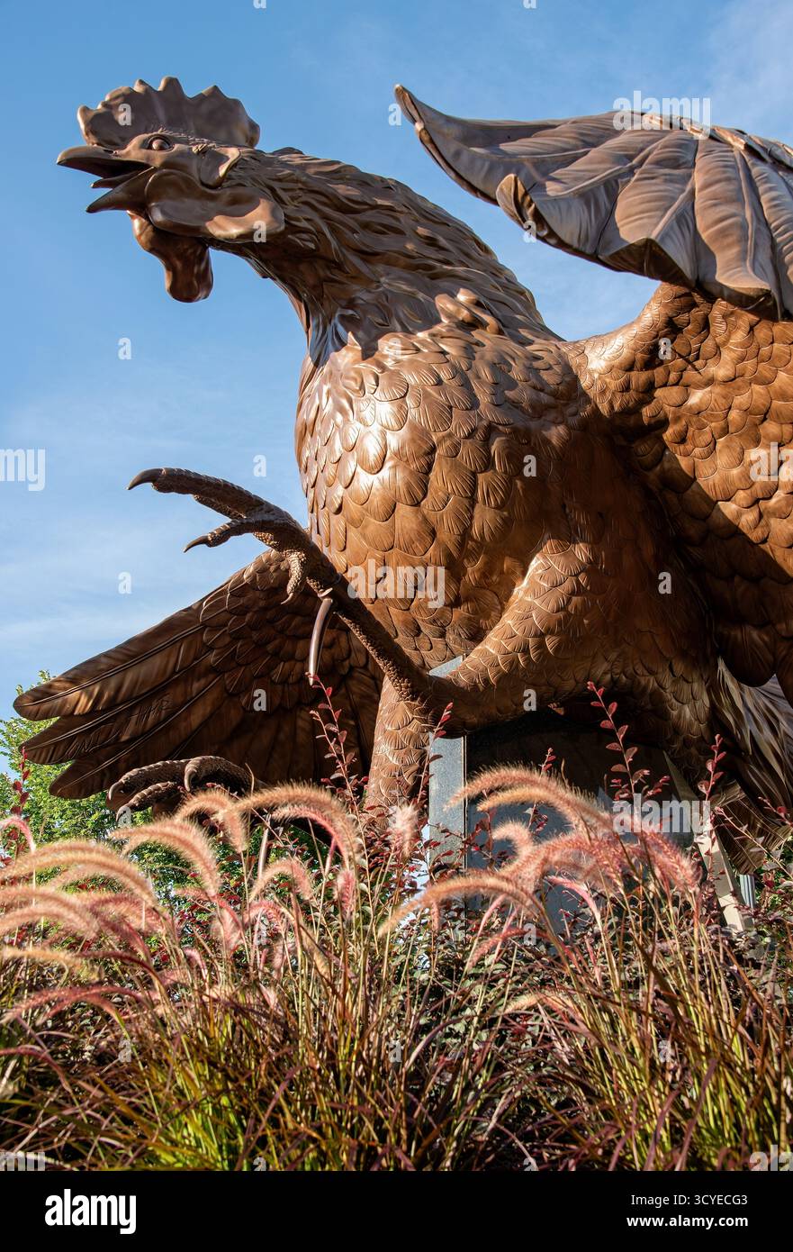 State college stadium south carolina hi-res stock photography and ...