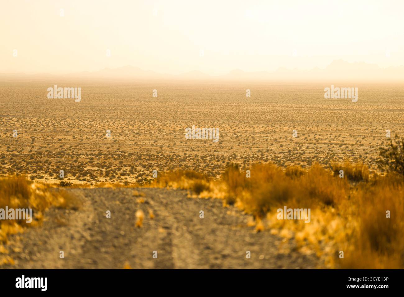 Sonoran Desert, El Pinacate Biosphere Reserve and the Great Altar ...