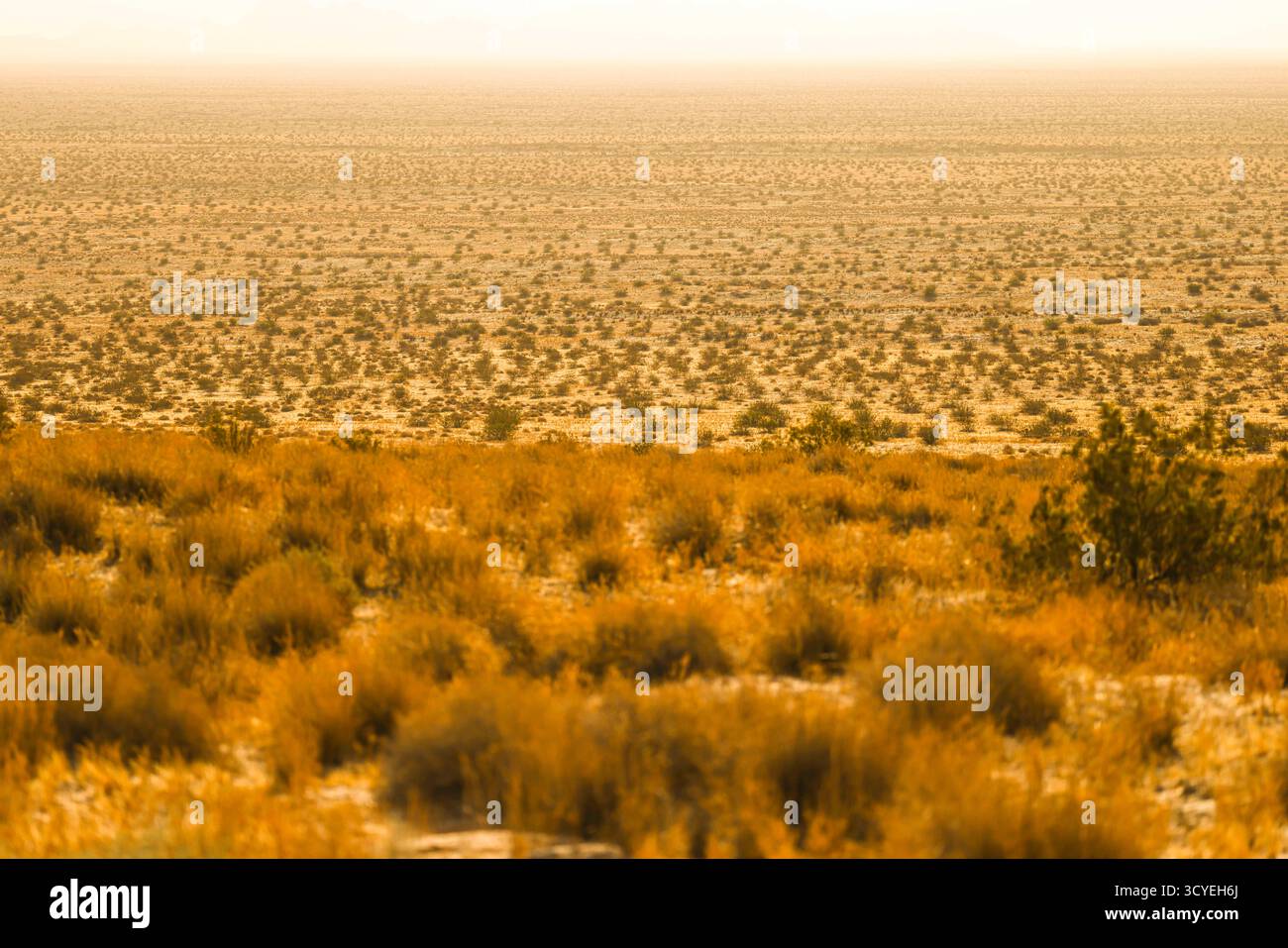 Sonoran Desert, El Pinacate Biosphere Reserve and the Great Altar ...