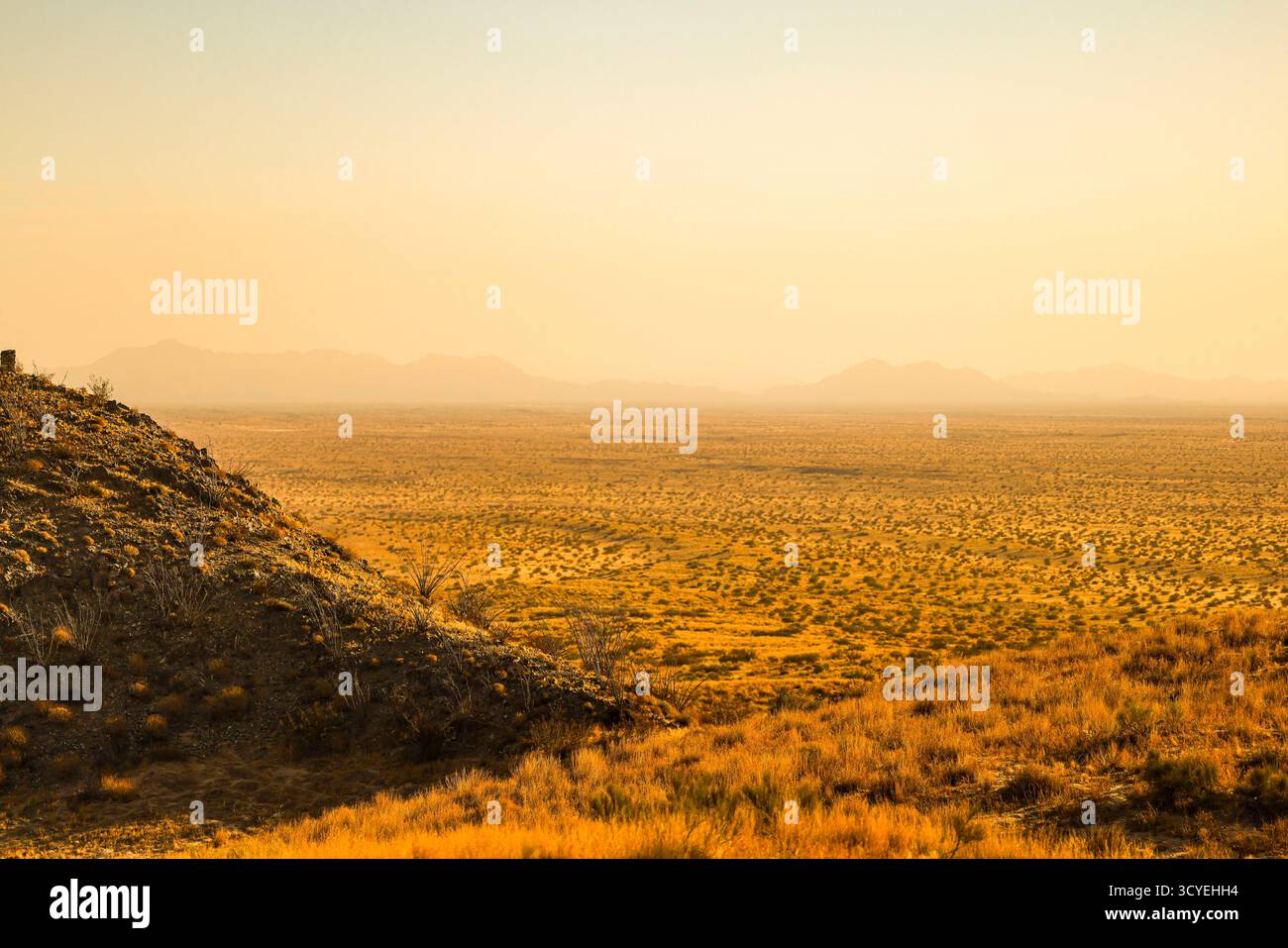 Sonoran Desert, El Pinacate Biosphere Reserve and the Great Altar ...