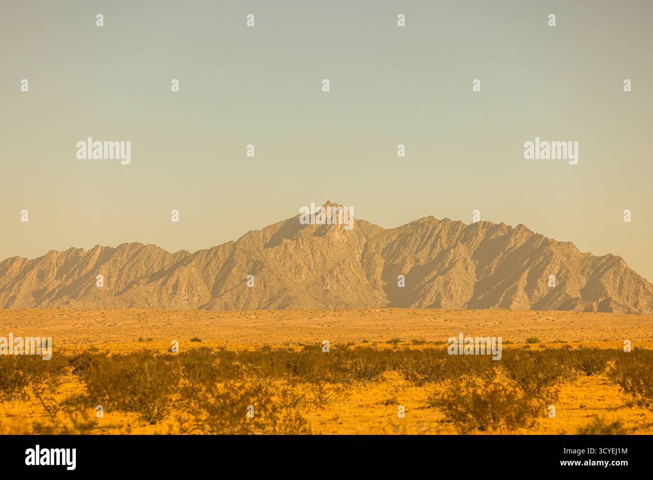 Sonoran Desert, El Pinacate Biosphere Reserve and the Great Altar ...