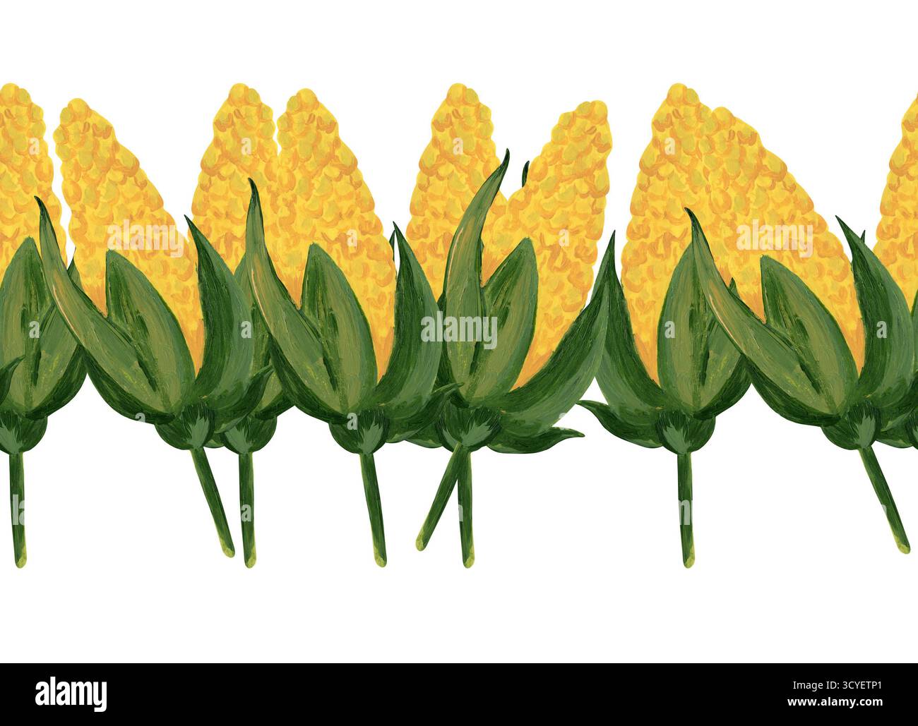 Seamless border with hand painted corn cobs on white background Stock ...