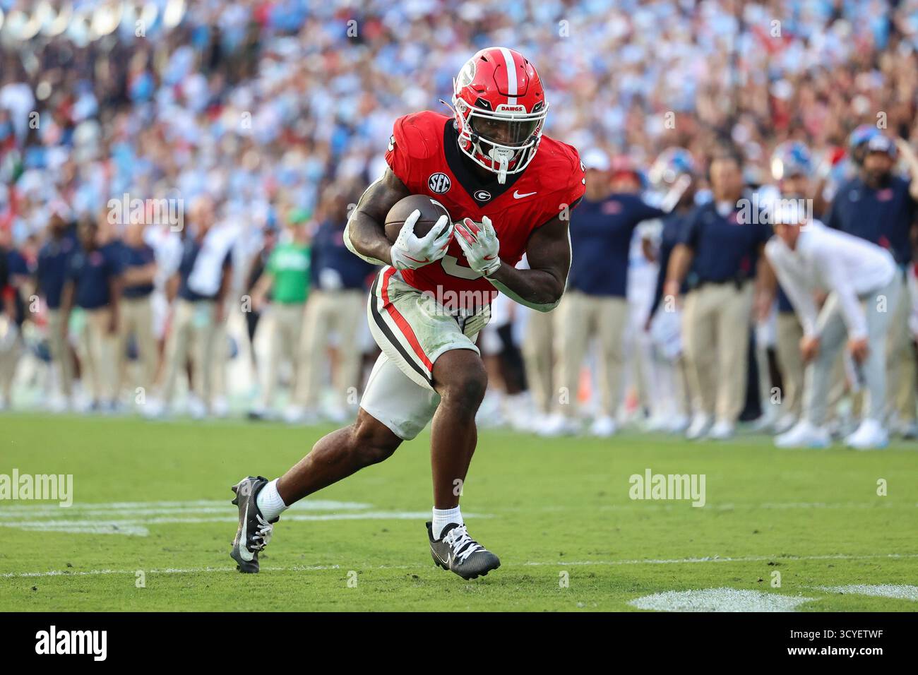Georgia running back Nate Frazier (3) catches a pass during the second ...