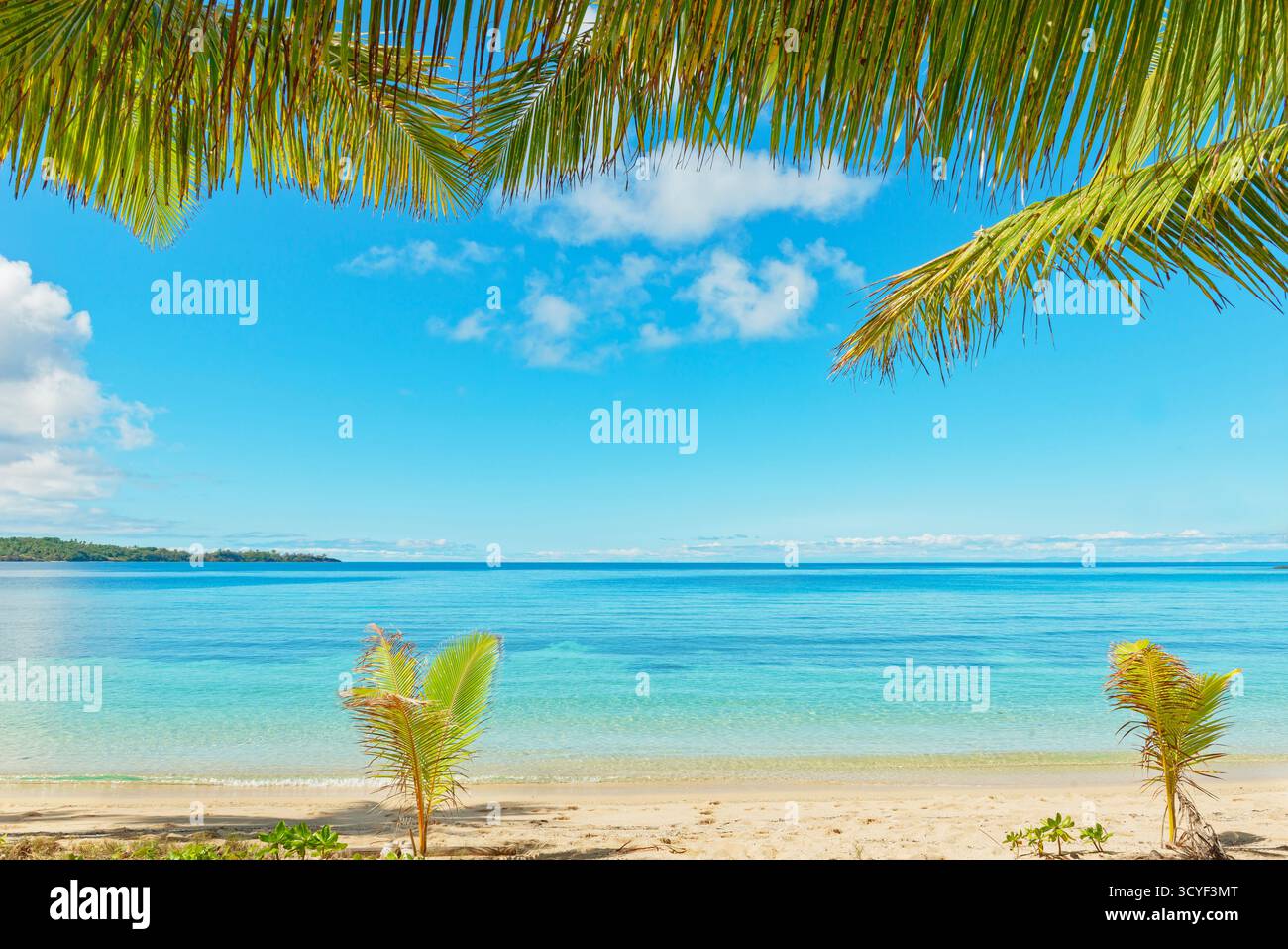 Tropical sandy beach, Drawaqa Island, Yasawa islands, Fiji Stock Photo ...