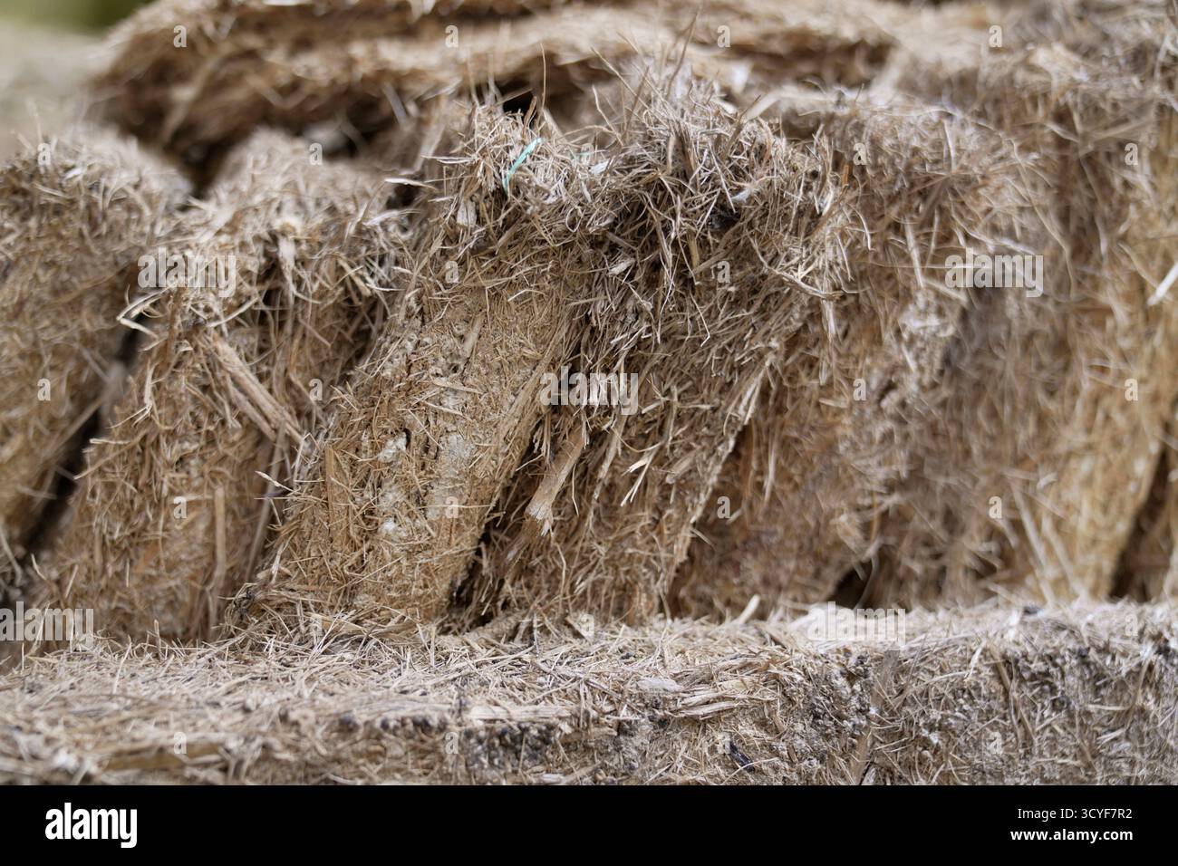 Pallets made from agricultural waste, for use in building house wall ...