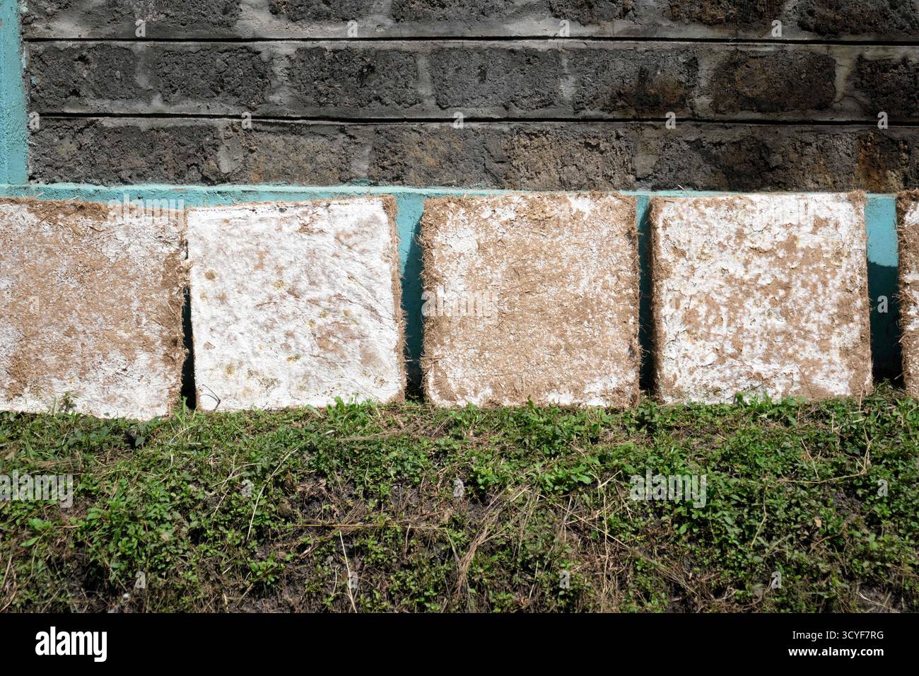 Pallets made from agricultural waste, for use in building house wall ...