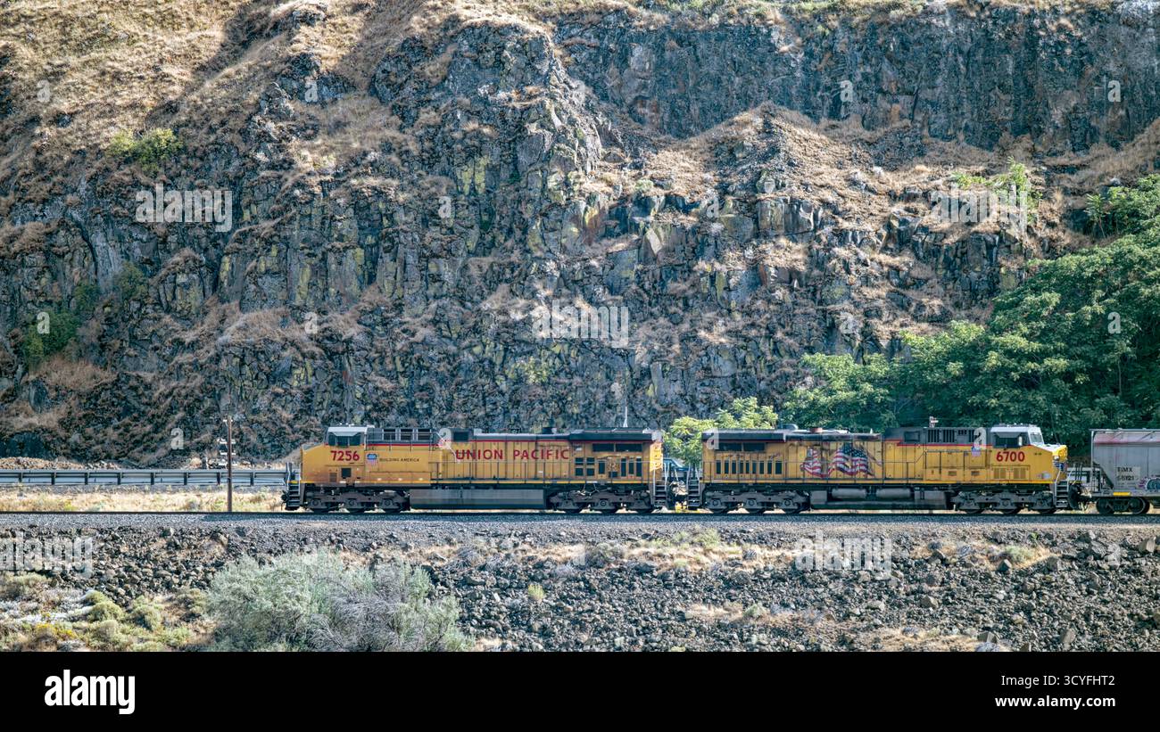 Locomotives lead a BNSF freight train below the bluffs of the Columbia ...