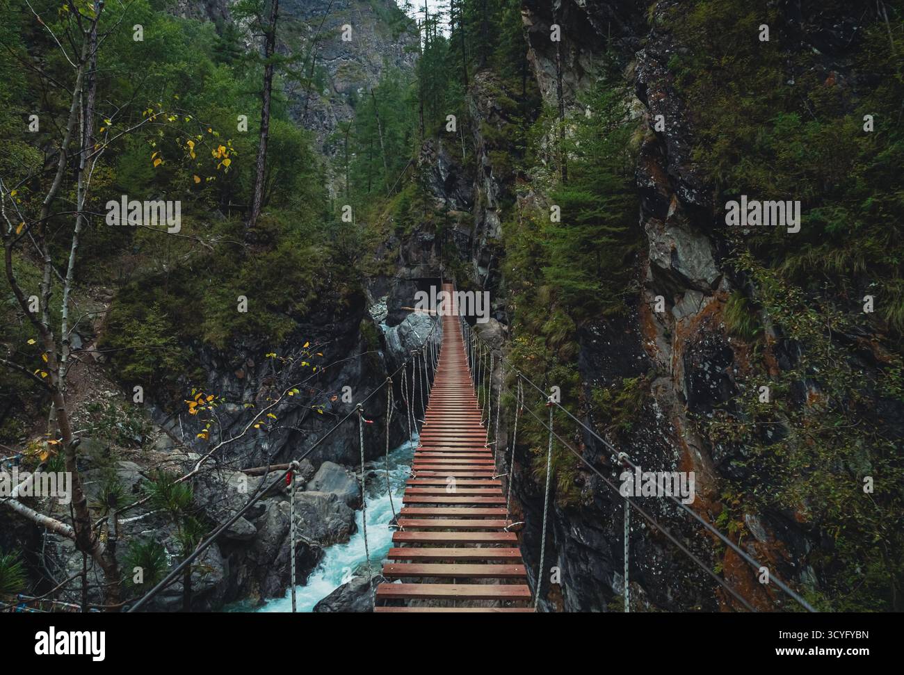 Wooden suspension bridge stretches over a rocky gorge surrounded by ...