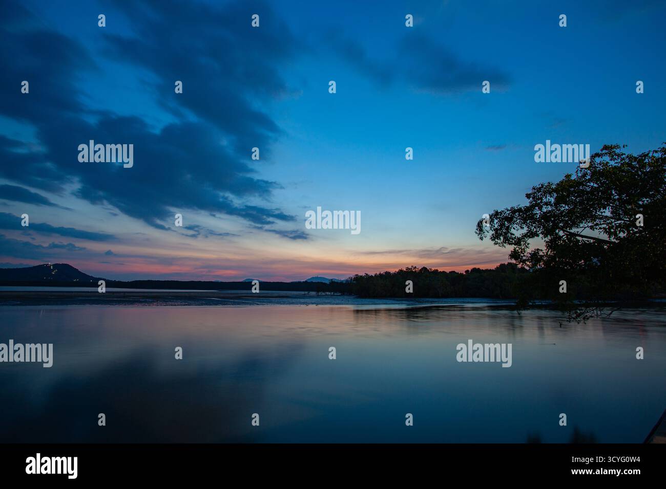 Scenery golden sky in sunset above the mangrove trees. Majestic sunset ...