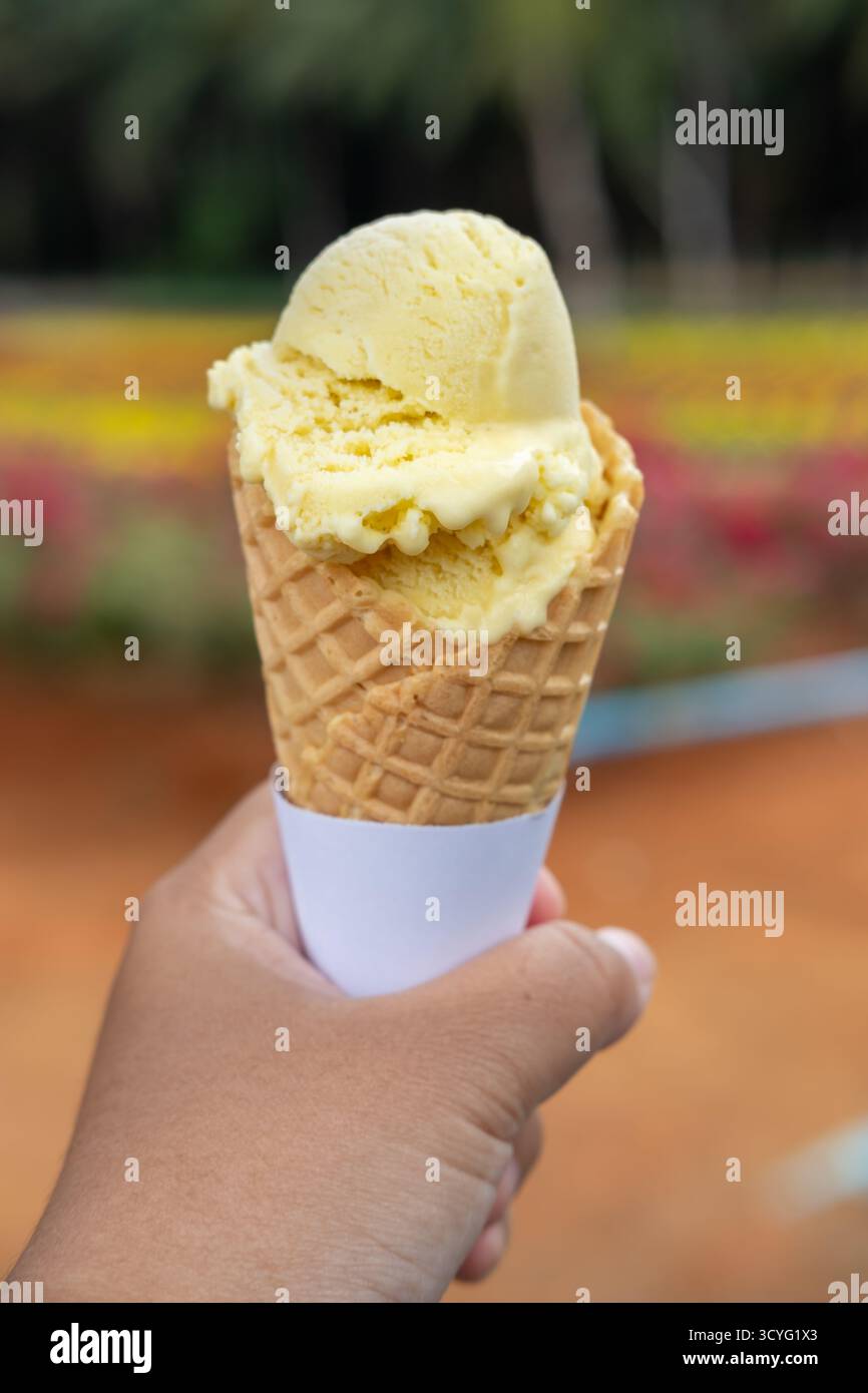 Gelato durian hi-res stock photography and images - Alamy