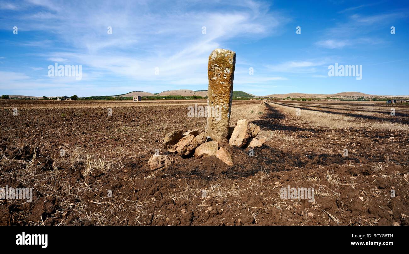 Altamura (Ba), Italy, a Roman era milestone in a field in the Alta ...