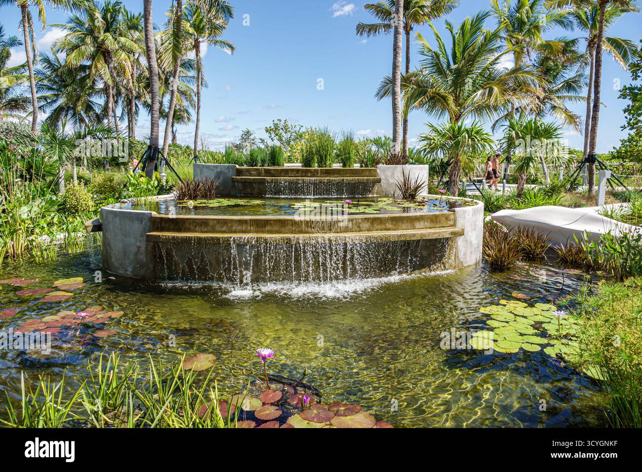 Waterfall fountain pond aquatic plants hi-res stock photography and ...