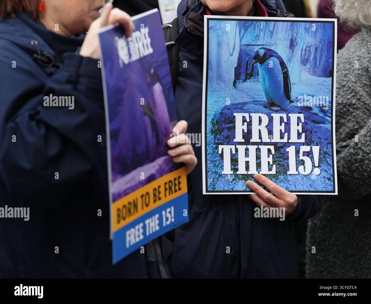 People take part in the Free the Fifteen protest organised by Freedom ...