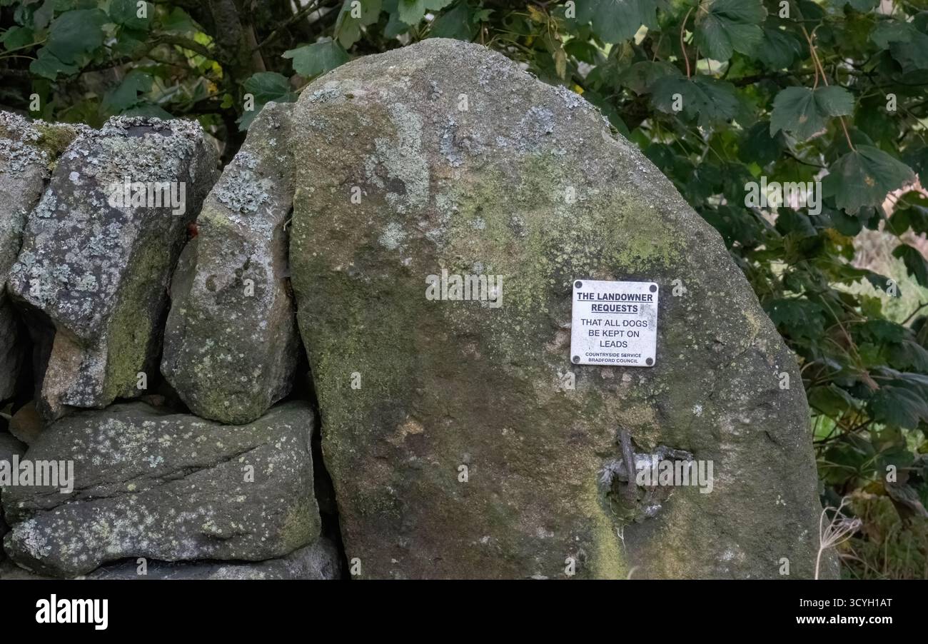 Stone bit moss on hi-res stock photography and images - Alamy