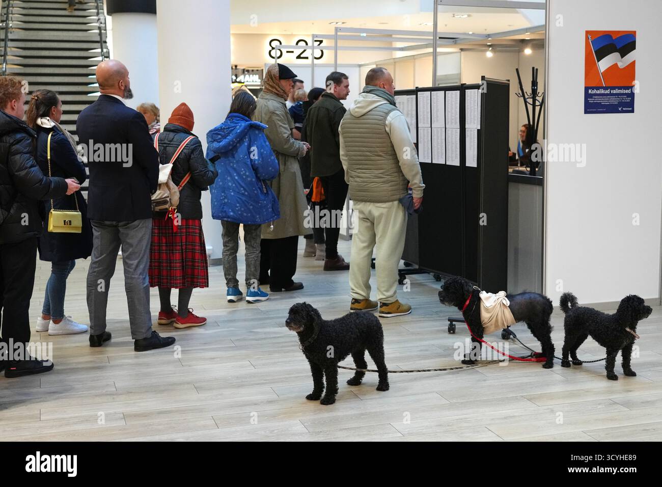 Dogs wait for their owner as people arrive to vote during the municipal ...