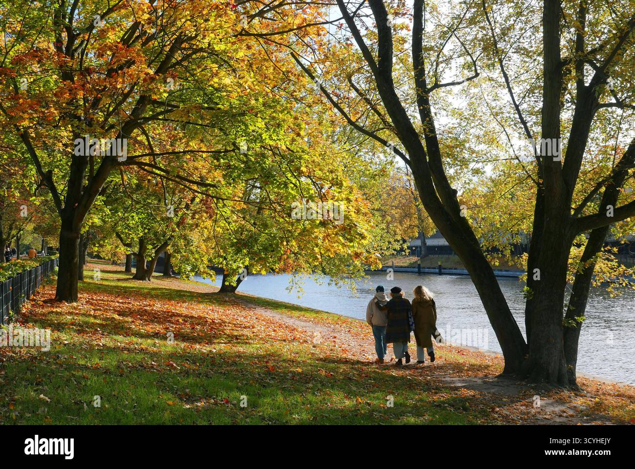 19.10.2025, Berlin - Deutschland. Sonne im goldenen Oktober. *** 19 10 ...