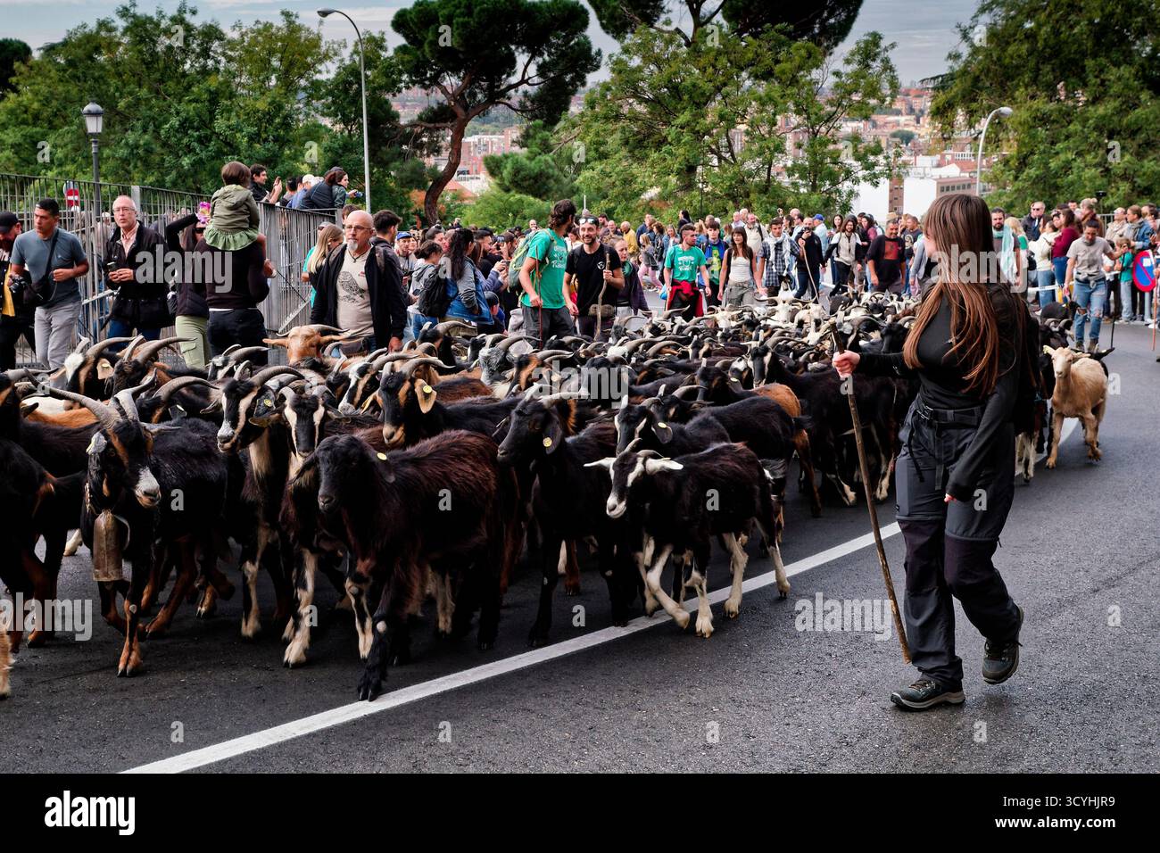 Madrid, Spain. 19th Oct, 2025. 32nd edition of the Shepherd and ...