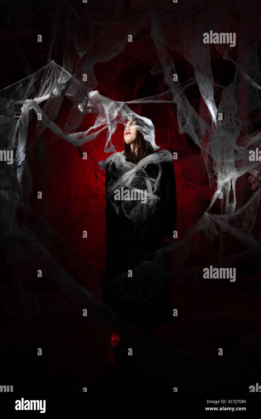 vampire woman trapped spider web on red bloody background, sleeping in ...