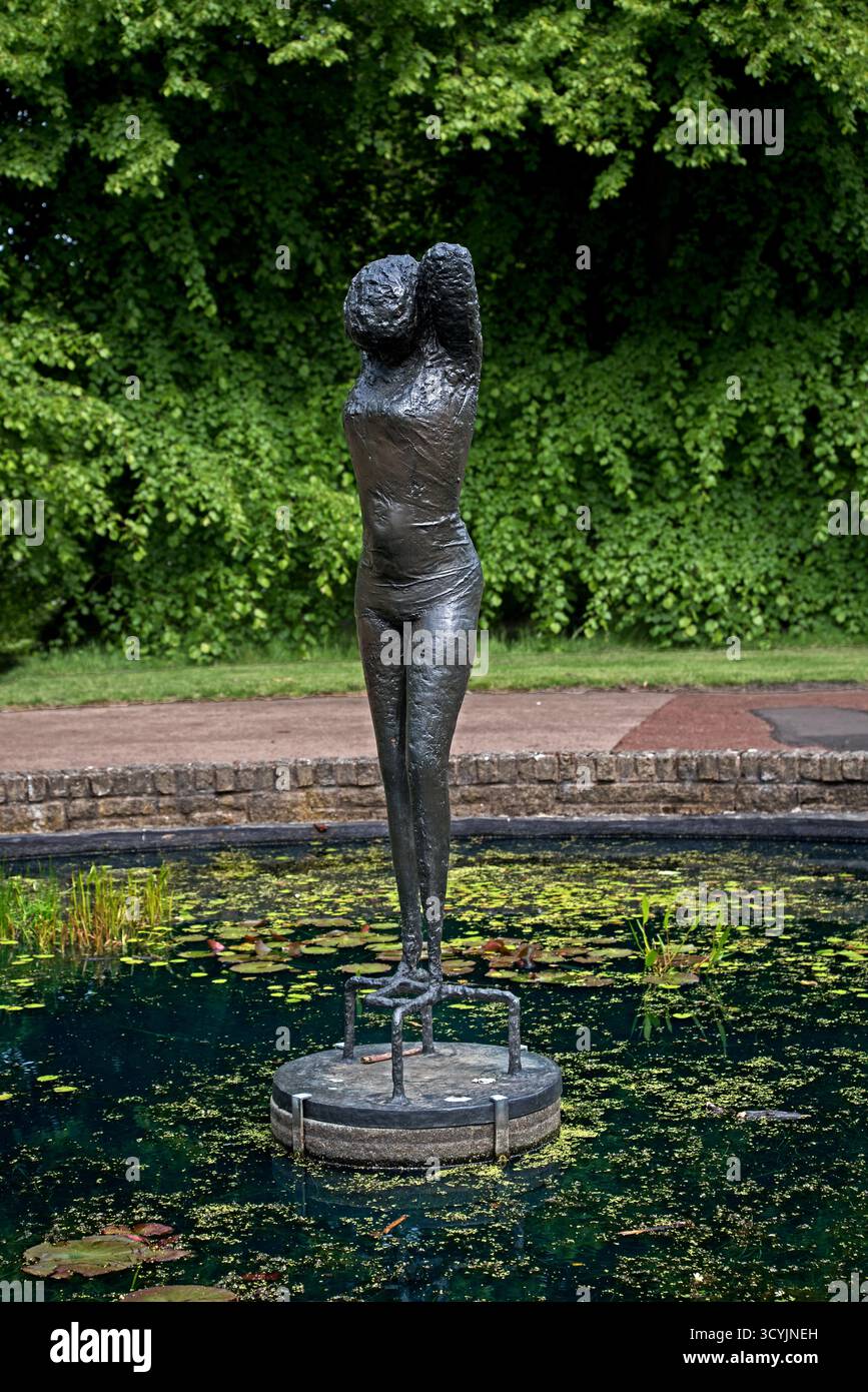 Bronze in a pond hi-res stock photography and images - Alamy