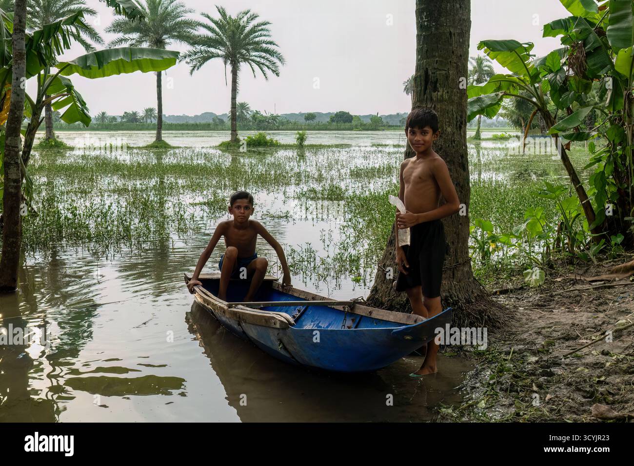 Crops fields are flooded, no crops cultivation for 2 years, increase of ...