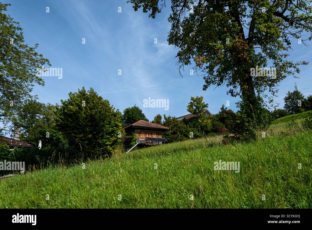 Modern wooden farms green hi-res stock photography and images - Alamy
