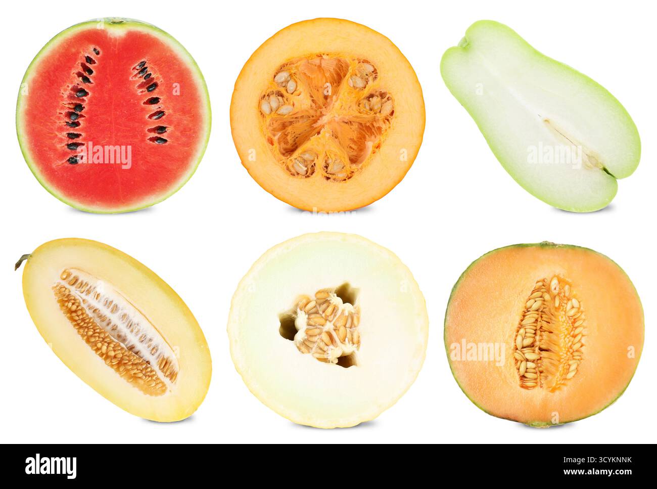 Fresh pumpkin, watermelon, melons and chayote isolated on white, set ...
