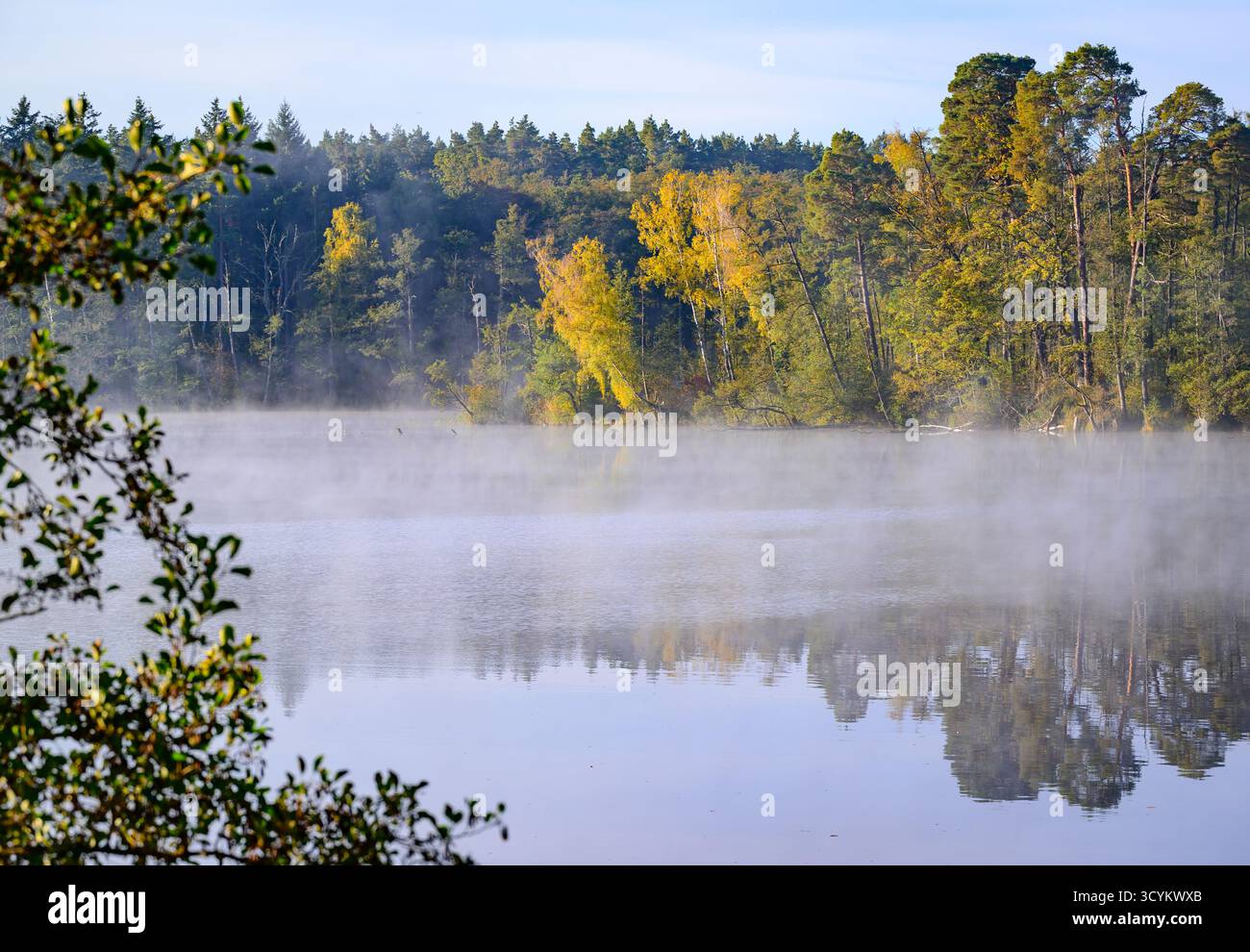 Treplin, Germany. 19th Oct, 2025. Autumn atmosphere at a forest lake ...