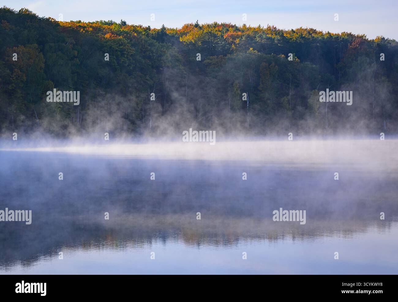 Treplin, Germany. 19th Oct, 2025. Autumn atmosphere at a forest lake ...