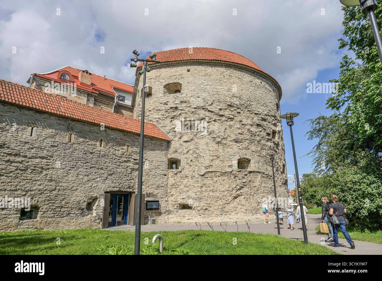 Stadtmauer, Turm, Dicke Margarethe Paks Margareeta, Altstadt, Tallinn ...