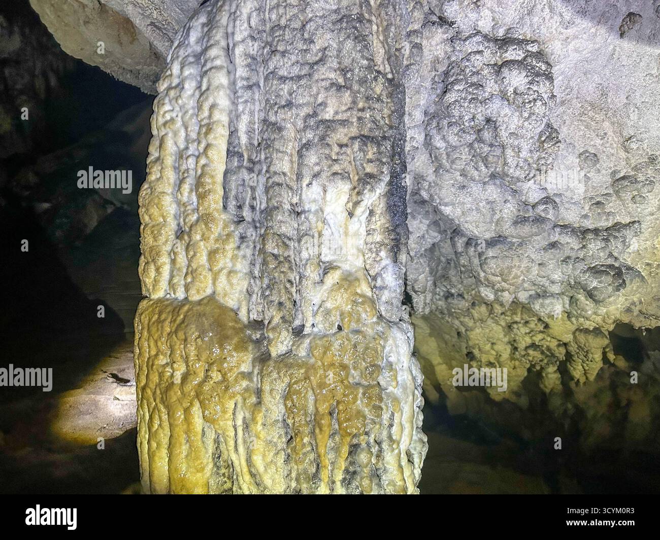 Detailed view of a stalagmite in a natural cave, showing rich mineral ...