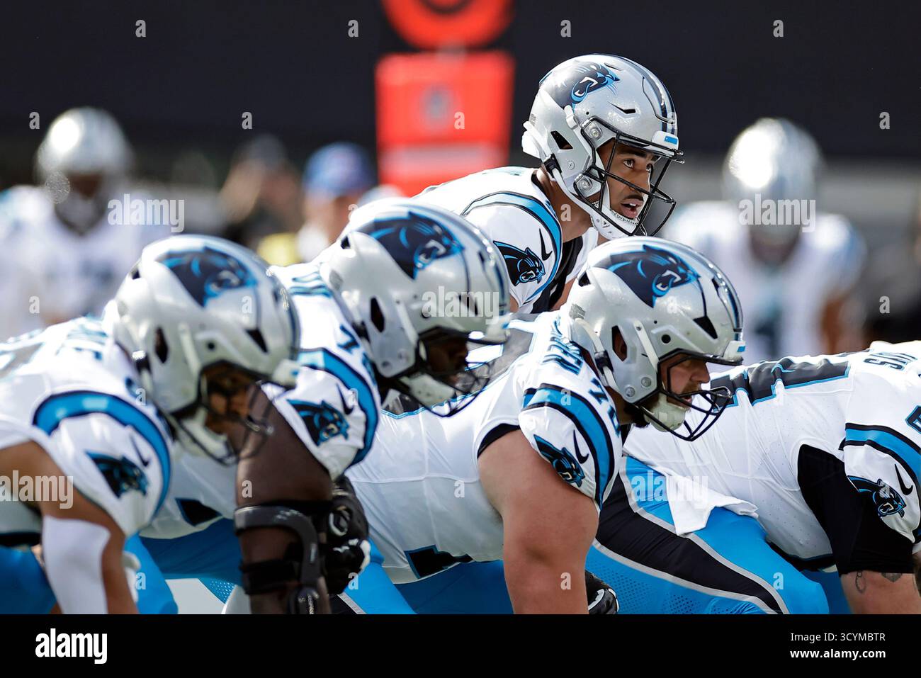 Carolina Panthers quarterback Bryce Young (9) at the line of scrimmage ...