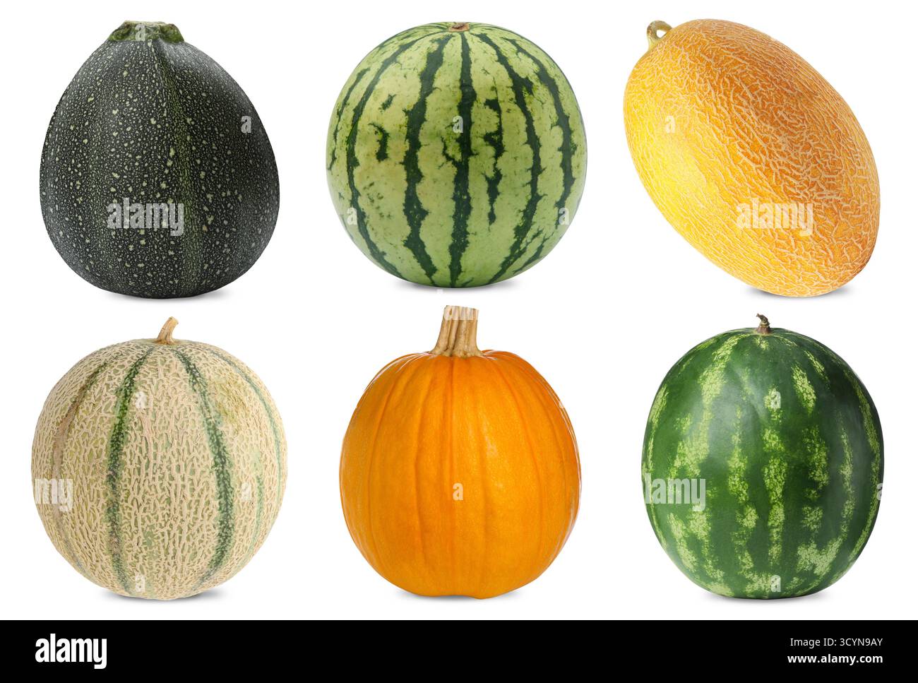 Fresh pumpkins, watermelons and melons isolated on white, set ...