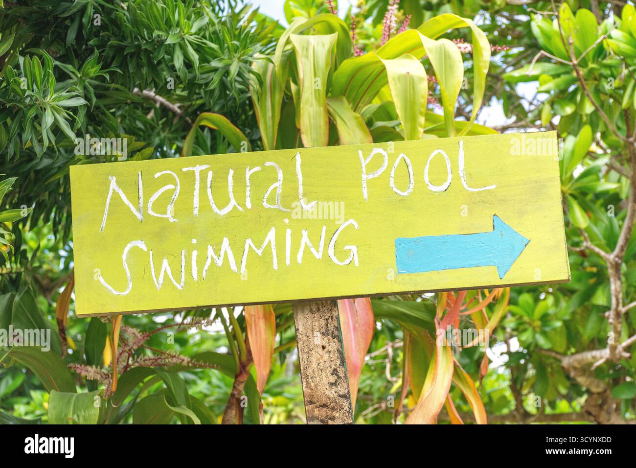 Swimming sign at Blue Lagoon, Eton Natural Pool, Eton, Efate Island ...