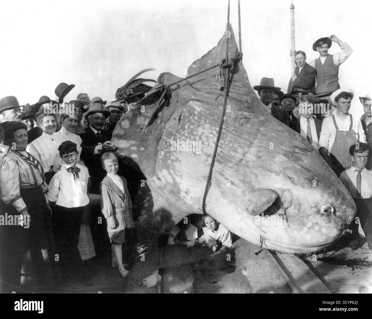 Several adults Black and White Stock Photos & Images - Alamy