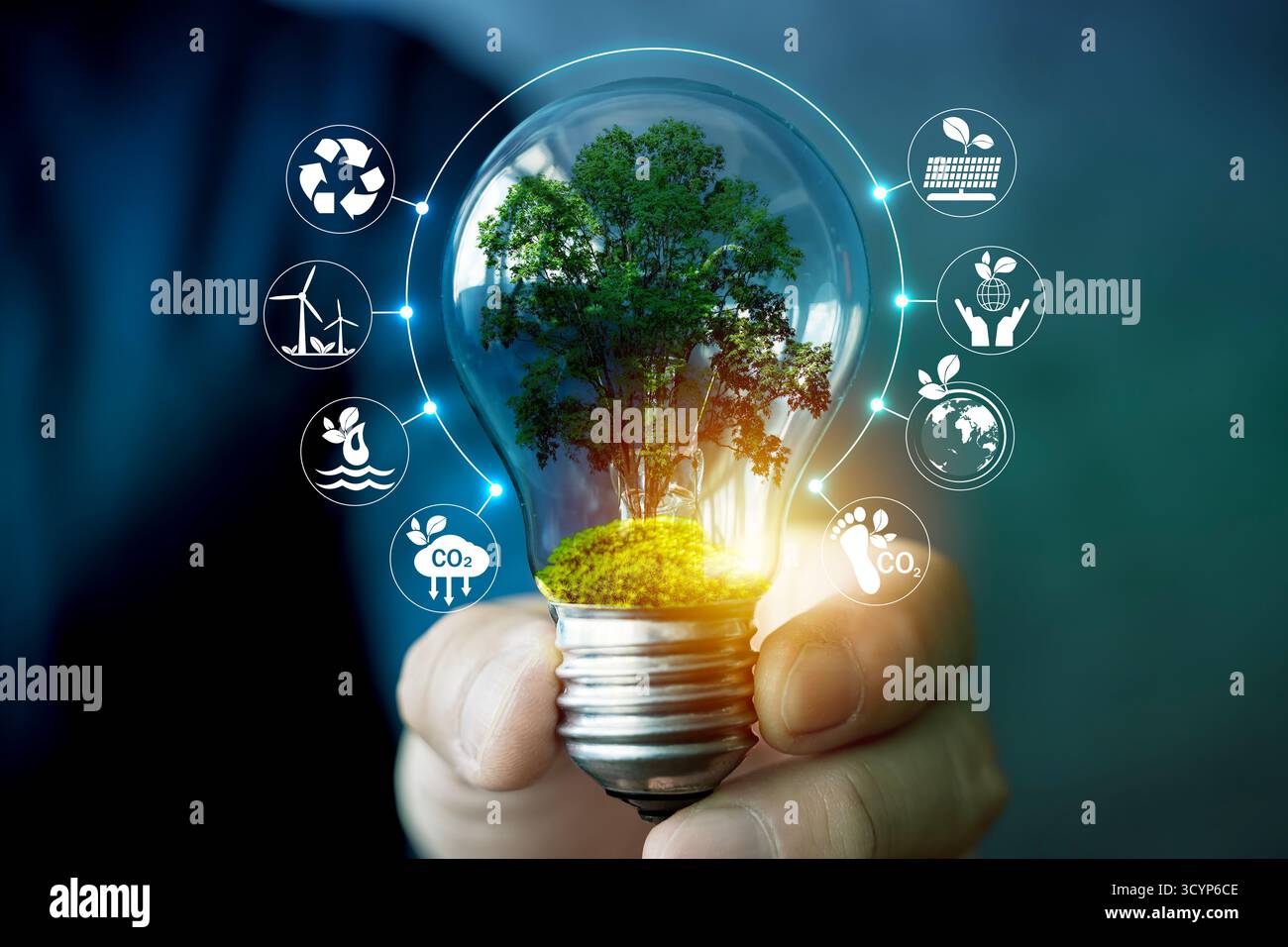 Green tree growing inside hi-res stock photography and images - Alamy