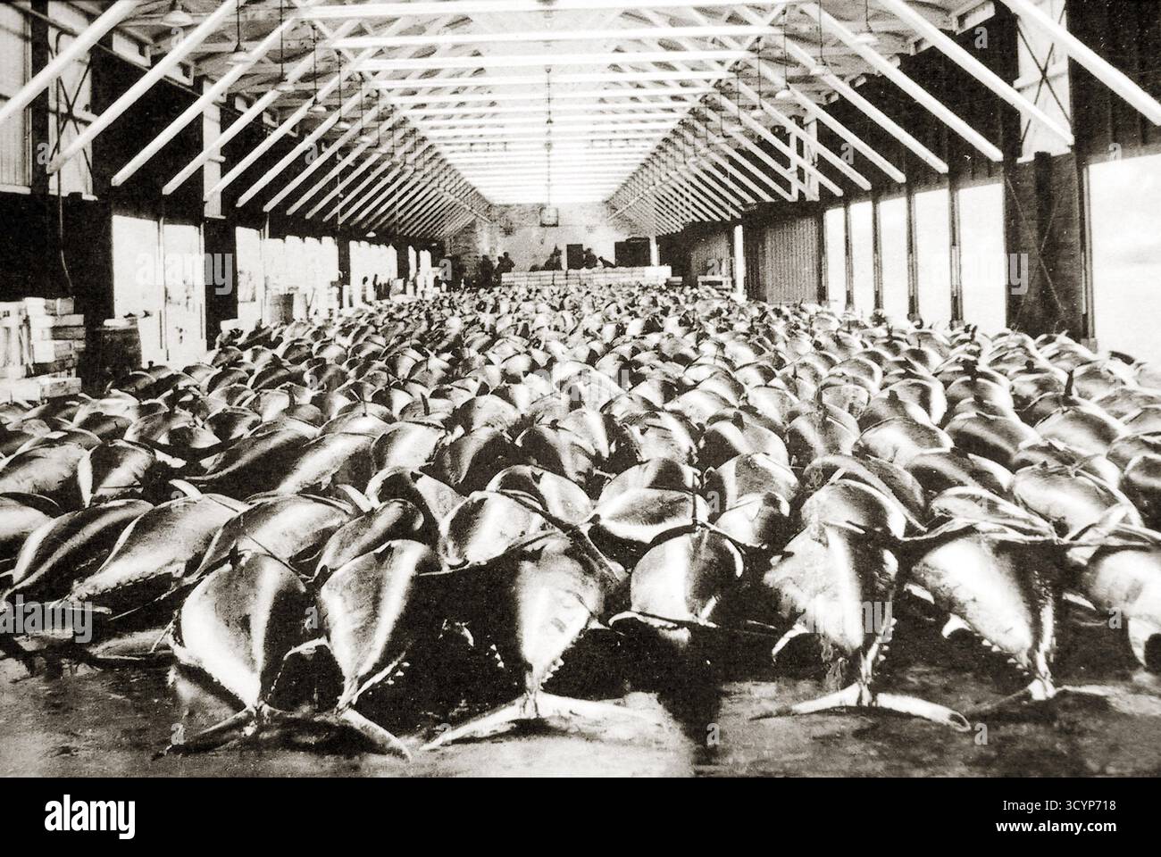 Market japan 1946 hi-res stock photography and images - Alamy
