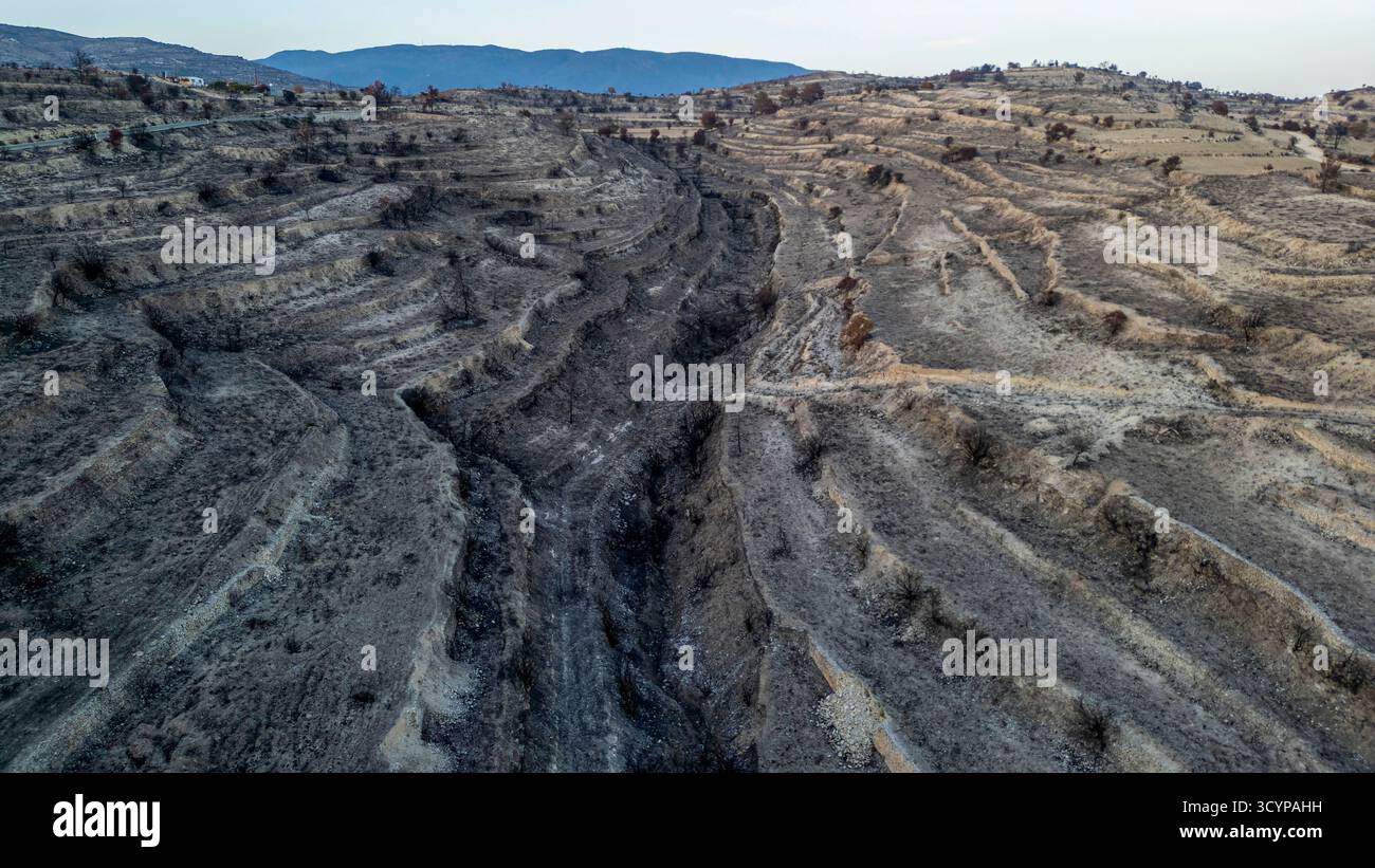 Scorched landscape near Lofou village caused by the summer wildfires on ...