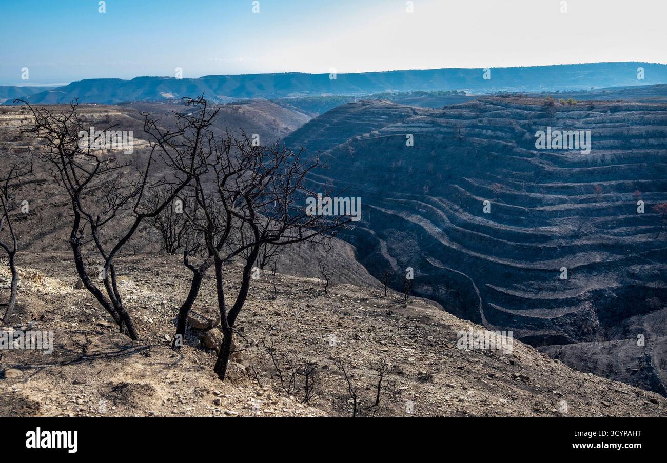 2025 summer wildfires limassol mountain villages hi-res stock ...