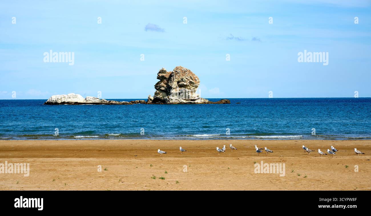 Vieste (Fg), la spiaggia con gli scogli Stock Photo - Alamy