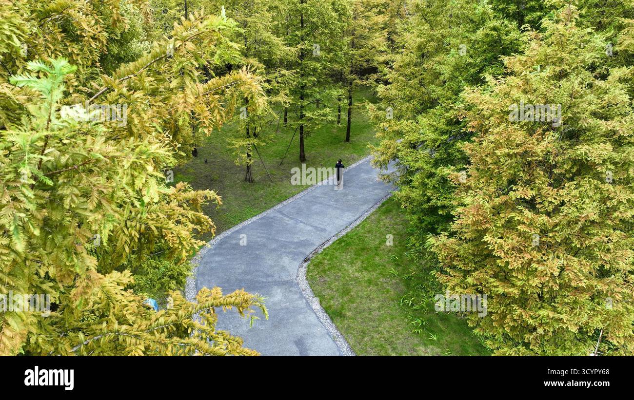 Autumn scenery at a park in Youyang County, Chongqing, China, 17 ...