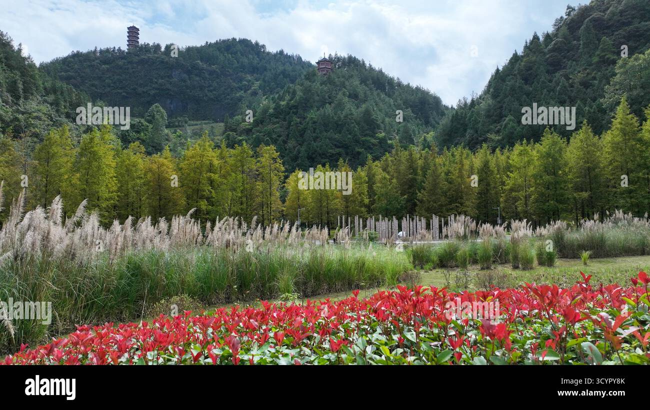Autumn scenery at a park in Youyang County, Chongqing, China, 17 ...